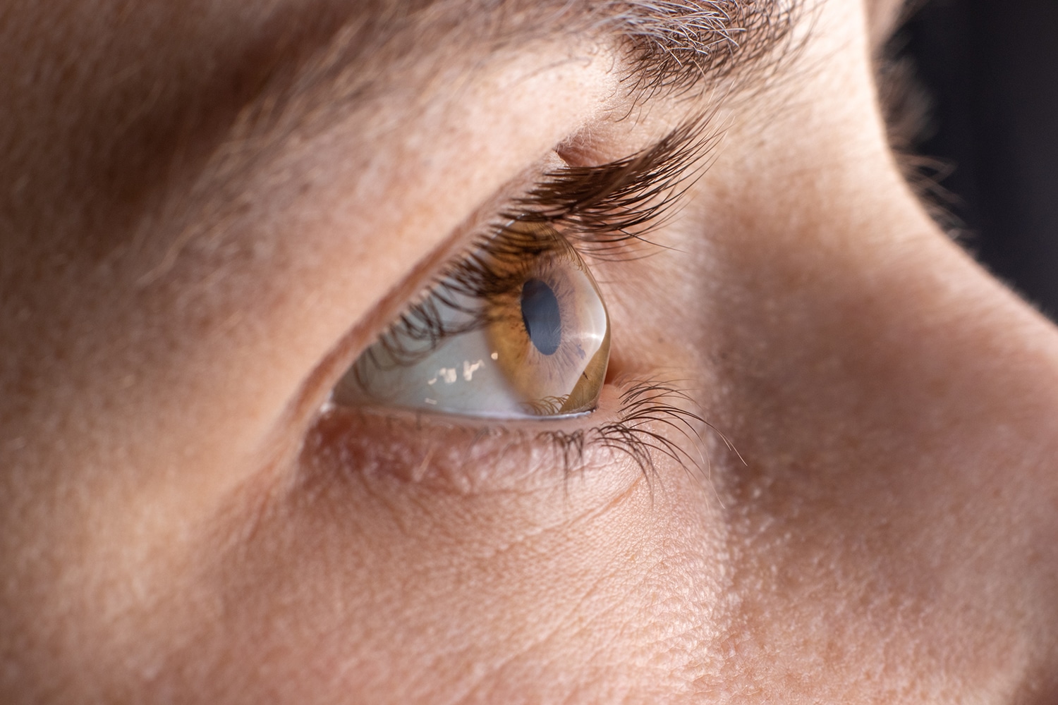 Cornea Treatments Glen Ellyn | Corneal Transplants Chicago, IL